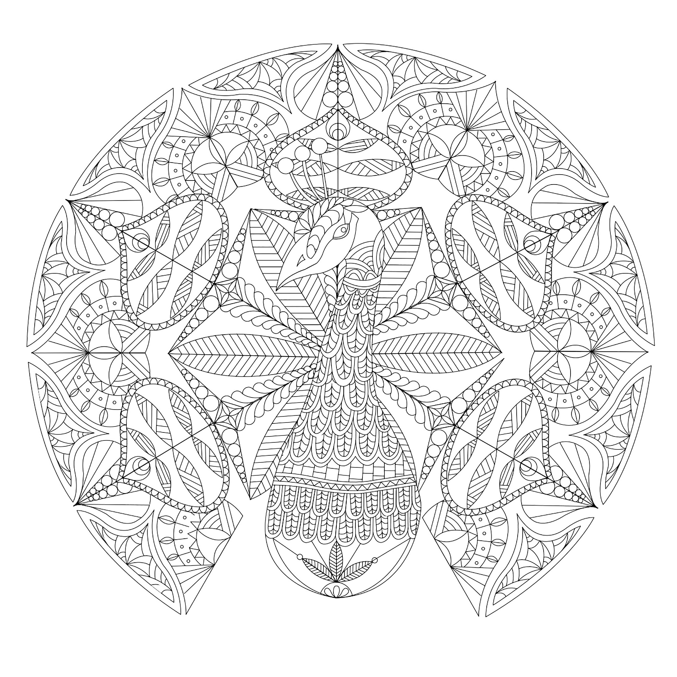 Magnifique paon - Mandalas sur le thème des Animaux
